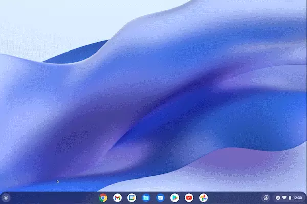 UGoogle Chrome kunye neChrome OS zifikelela kwinguqulo ye-100