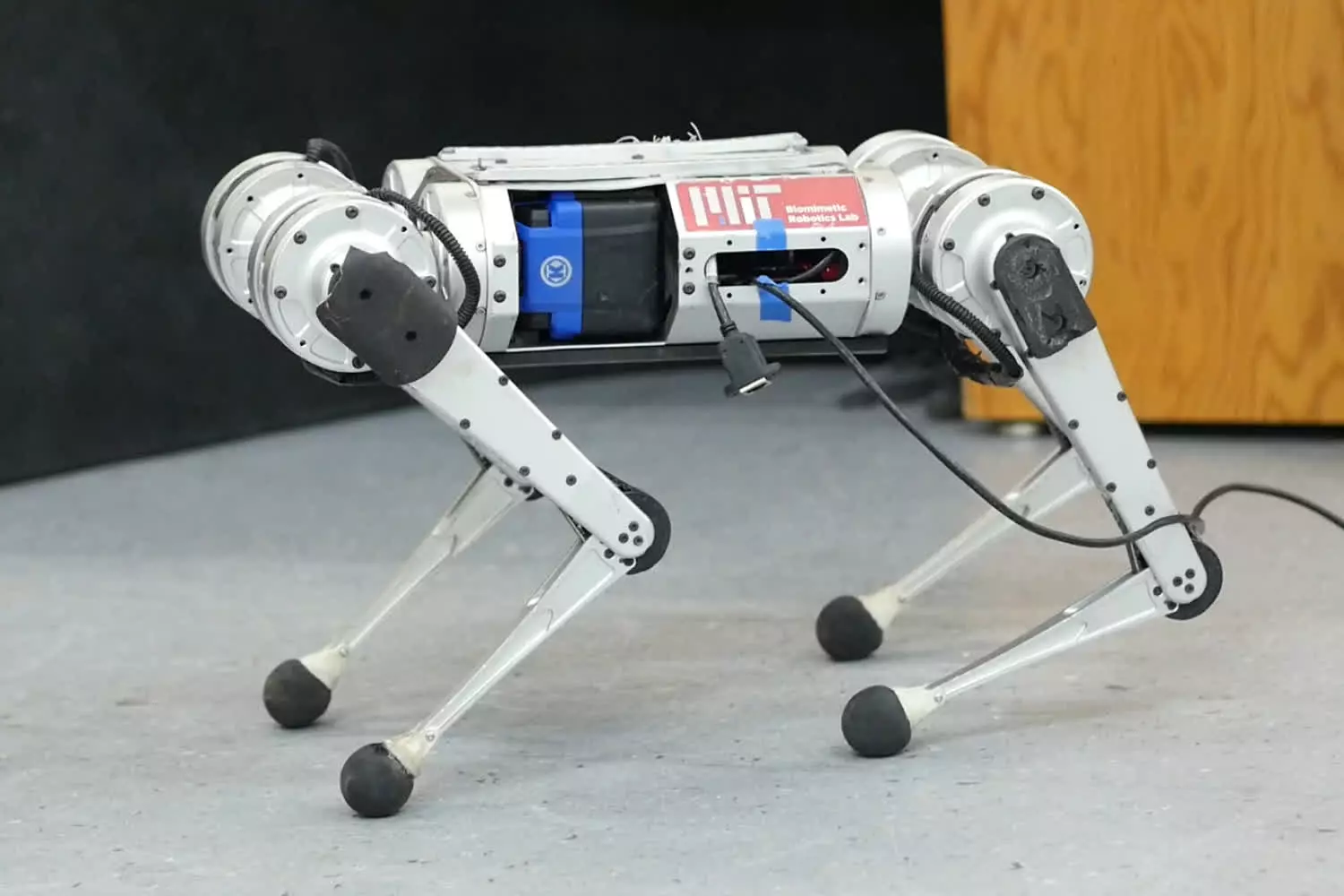 Cheetah robot i MIT-it mësoi veten se si të vraponte shpejt dhe të përshkonte terrene të ndërlikuara