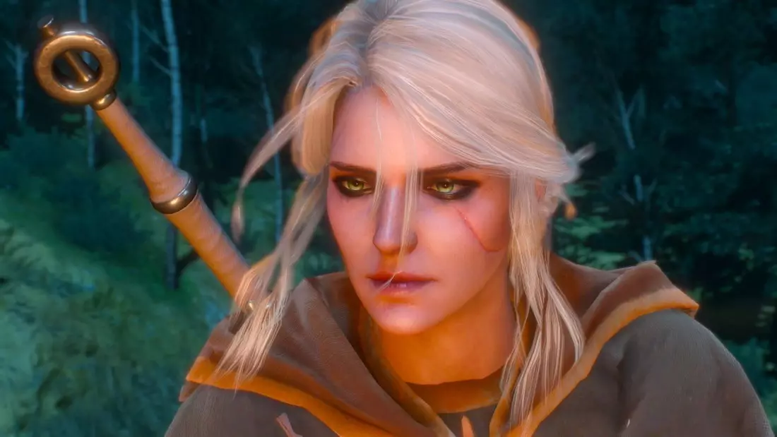 The Witcher 3: Wild Hunt Review 26157_11