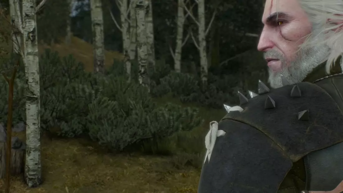 Revisión de The Witcher 3: Wild Hunt 26157_6